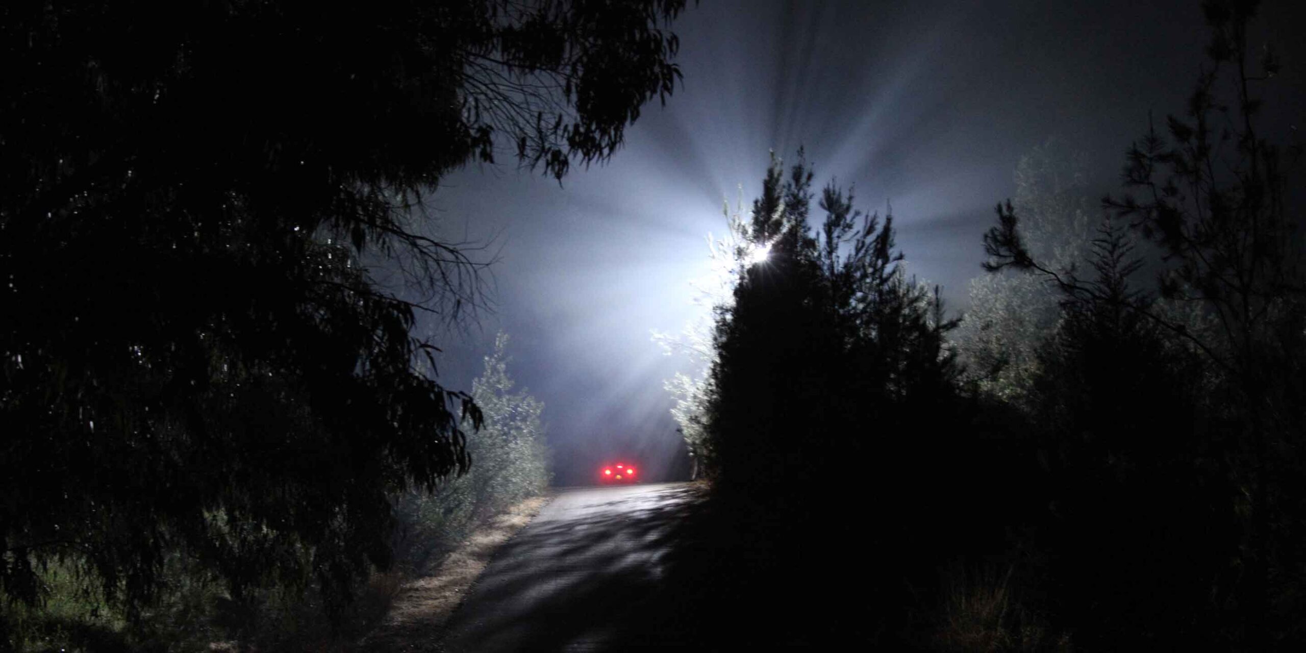 Big Bad Wolves - Nonstop Entertainment